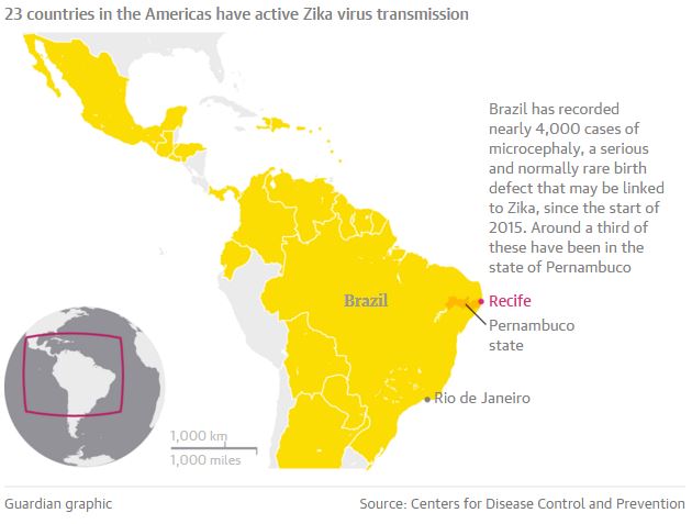 Zika virus is on the spread, warns WHO
