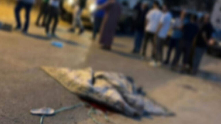 Interior minister orders probe into killing of Khansa Mujahid